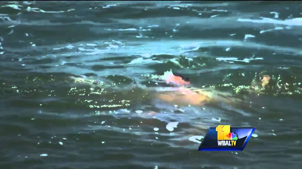 Recognizing the quiet signs of drowning - YouTube