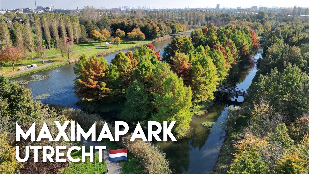 Maxima Park, Utrecht 🇳🇱 - YouTube