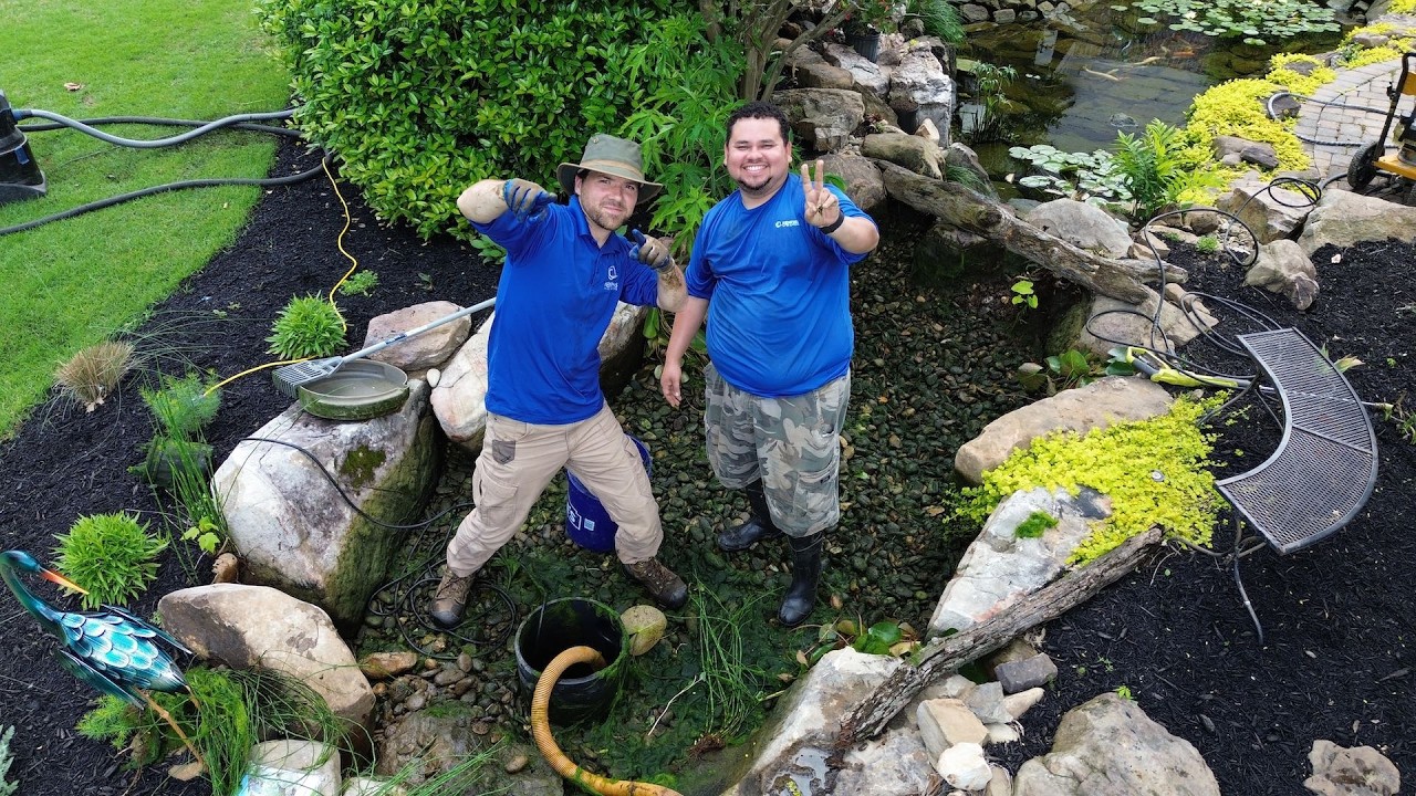 How to Clean a Wetland Filter the RIGHT Way! - YouTube