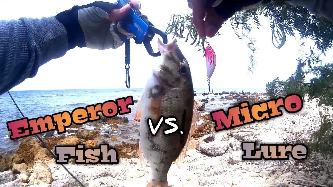 MICRO LURE vs. THE EMPEROR - YouTube