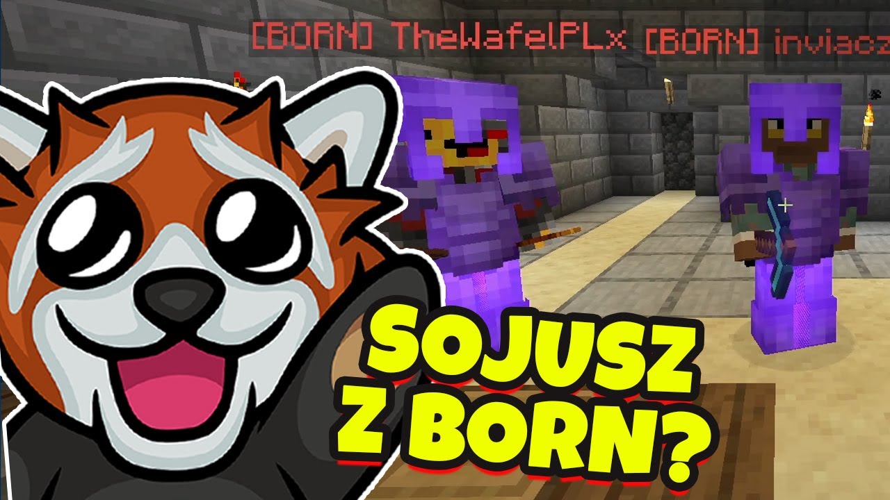 EWRON negocjuje z BORN, WIELKI SOJUSZ przeciwko DZIKOM na KWADRATOWEJ ...