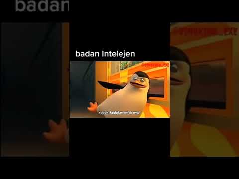 MEME penguin bokep