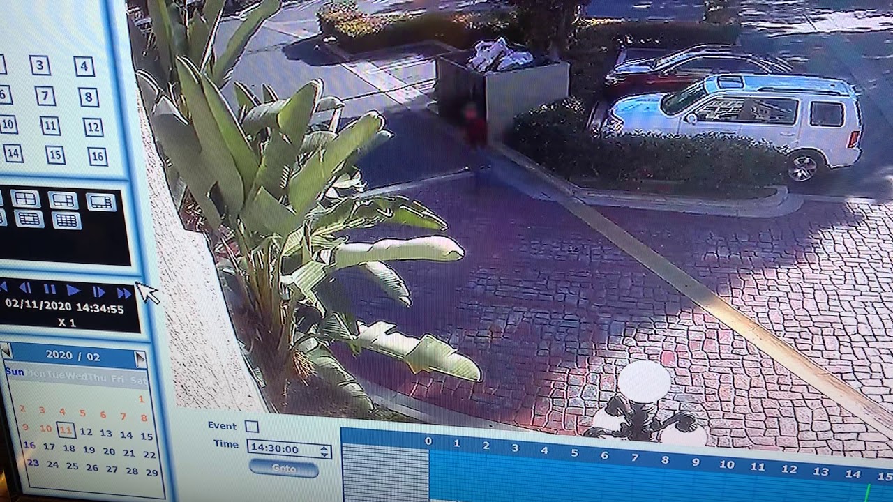 Peter Strojnik Walking in Parking Lot with no apparent disability - YouTube