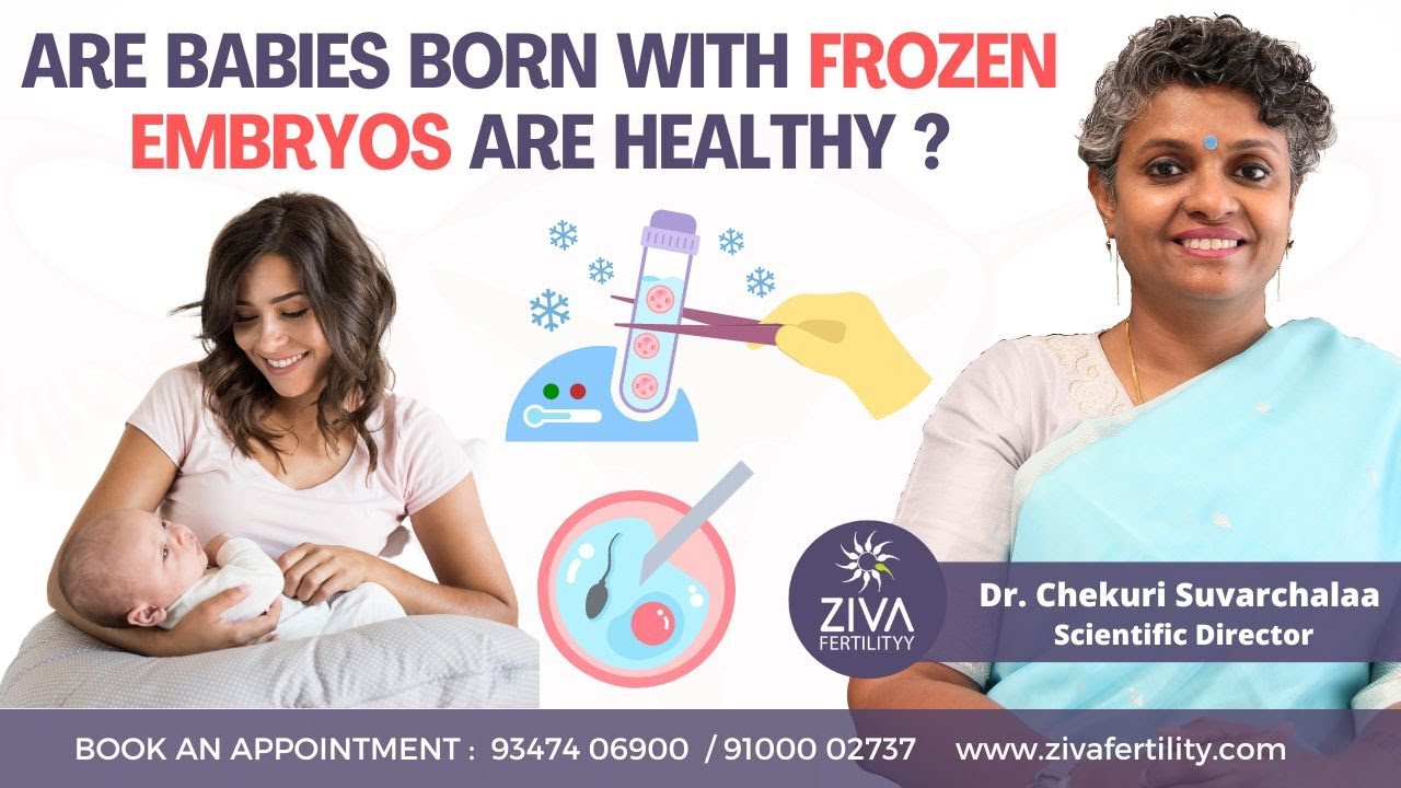 Frozen Embryos Babies || Fresh Vs Frozen Embryo Transfer || IVF | Dr C ...