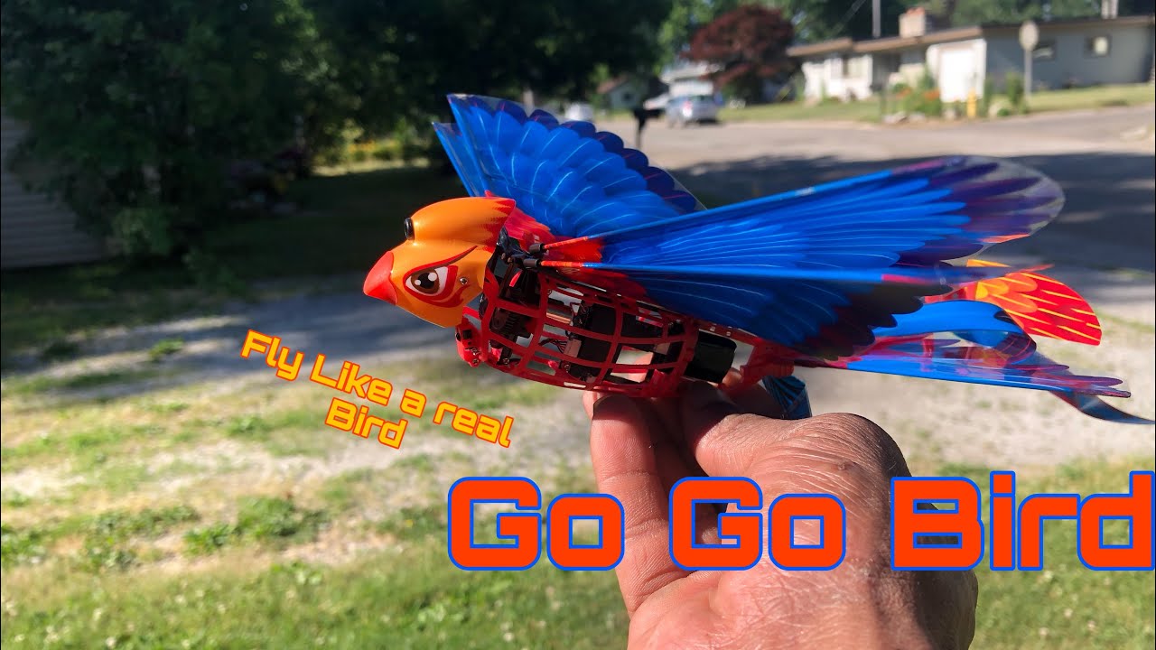 Hanvon Go Go Bird - Back out for a Quick Flight - YouTube