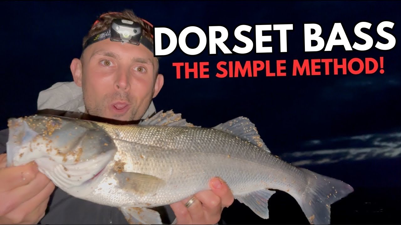 How to catch a Bass made SIMPLE! | UK Bass fishing - YouTube