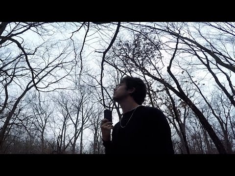 Wallows – Your New Favorite Song