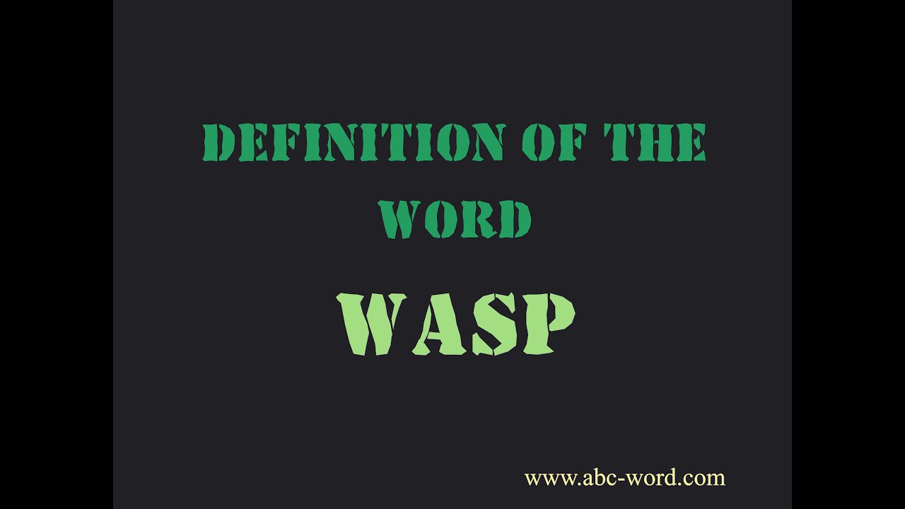 Definition of the word "Wasp" - YouTube