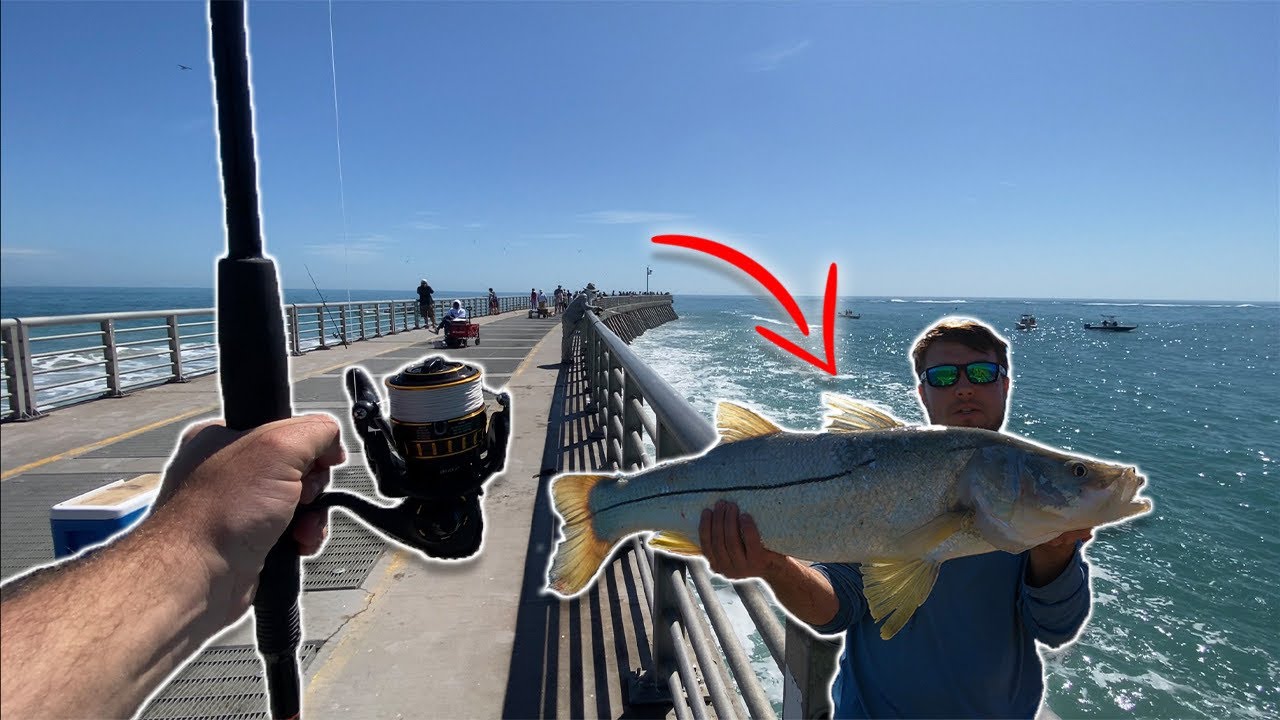 I Caught a Big Fish off the Jetty!( Jetty Fishing) - YouTube
