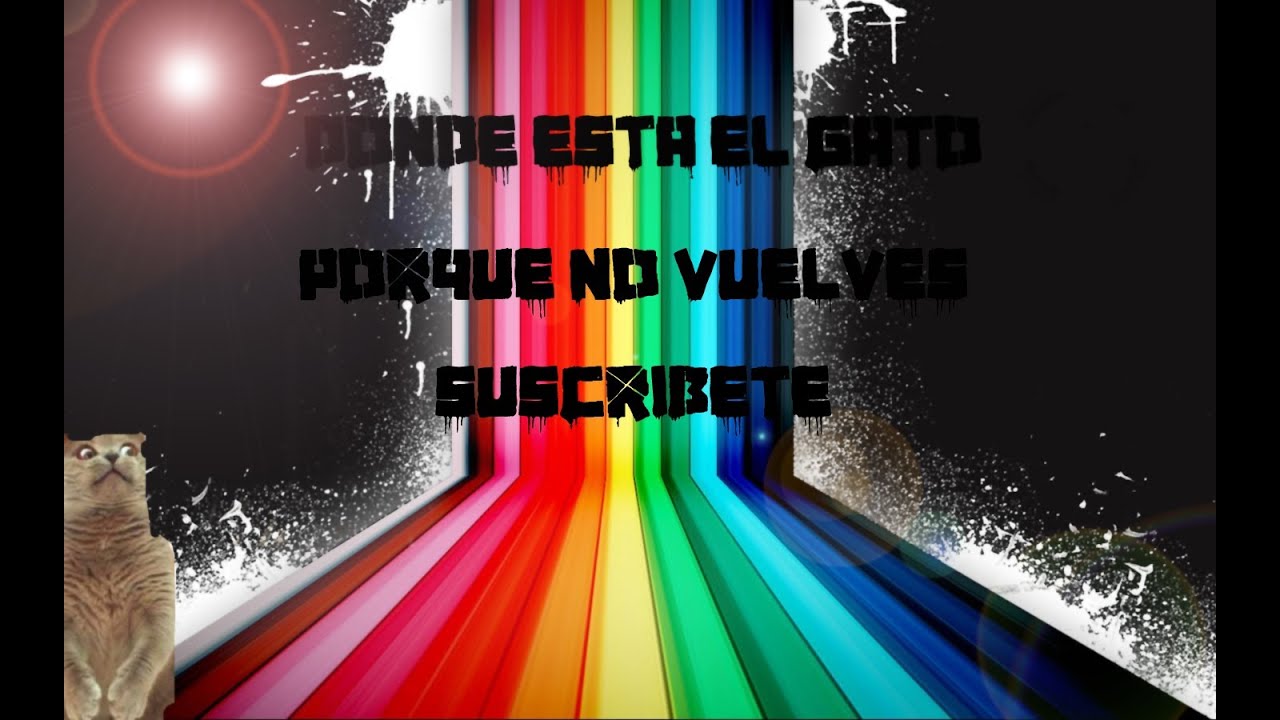 Donde esta el gato? :C - YouTube