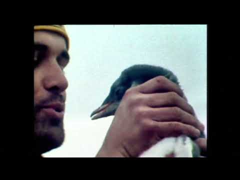 VERSO IL SUD restaurato 2025