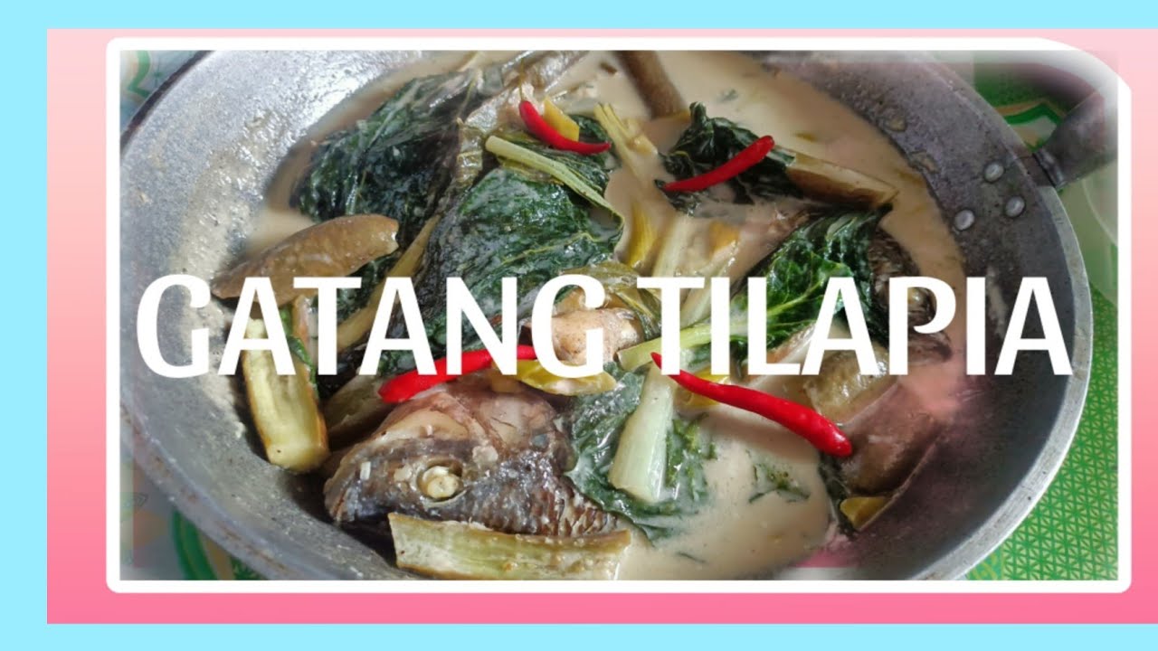 magluluto Tau Ng gatang telapia/ Cooking outdoor / AIRYN KUSINA - YouTube