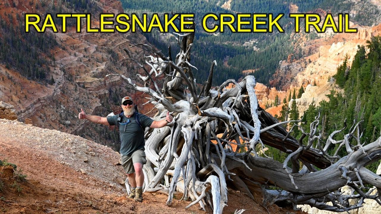 Rattlesnake Creek Trail, next to Cedar Breaks National Monument - YouTube