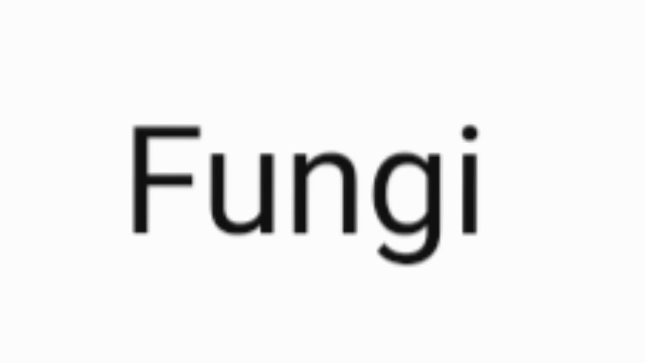 How to pronounce Fungi? - YouTube