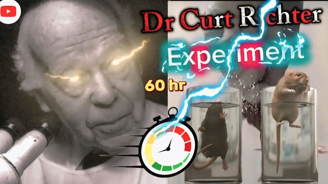 Dr Curt Richter Hope Experiment | Dr Curt Richter Harvard rats 🐁| - YouTube