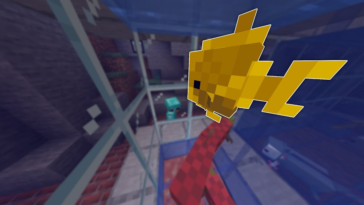 Chicken Nugget Gets NEW FRIENDS - YouTube