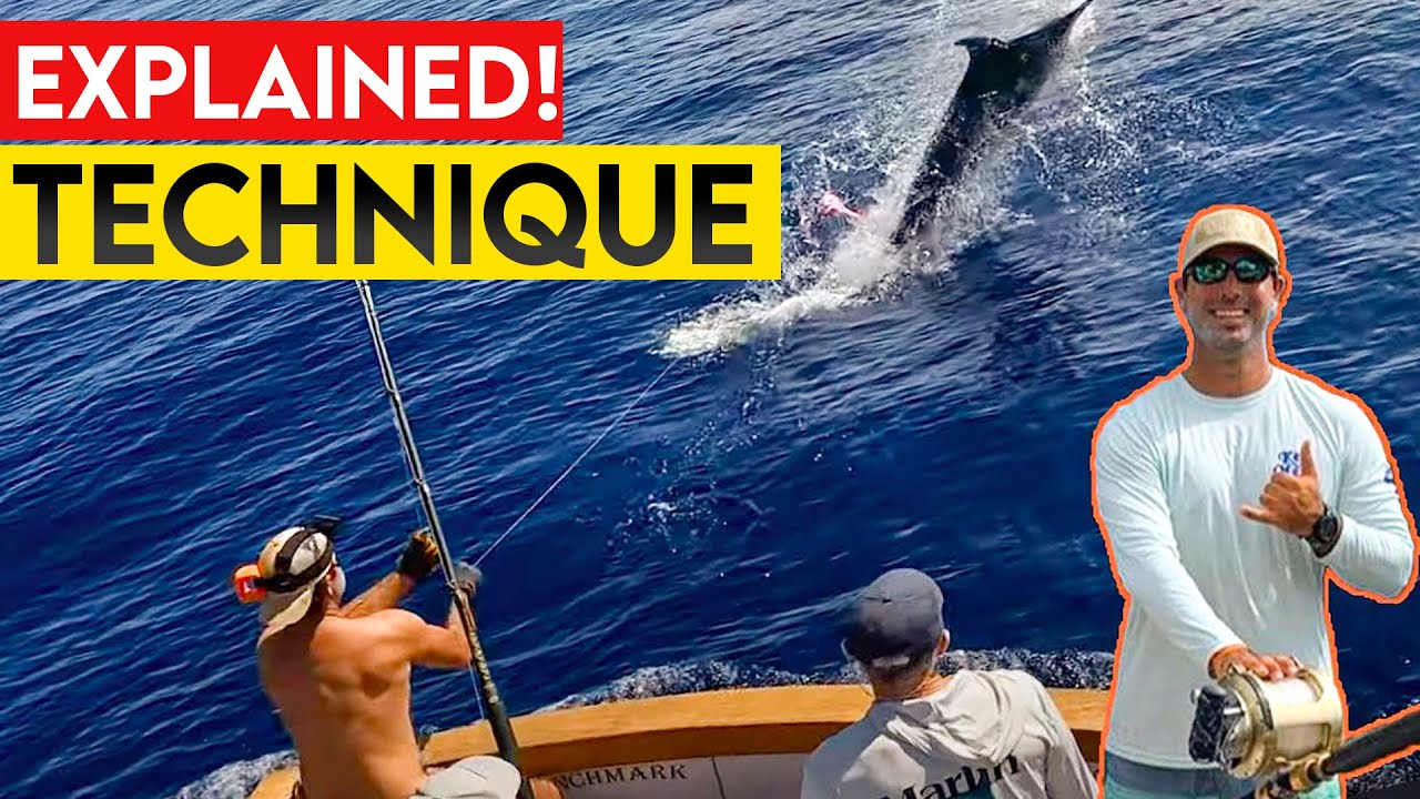 Marlin University & Strike Drag Setting Technique Explained | Waterman ...