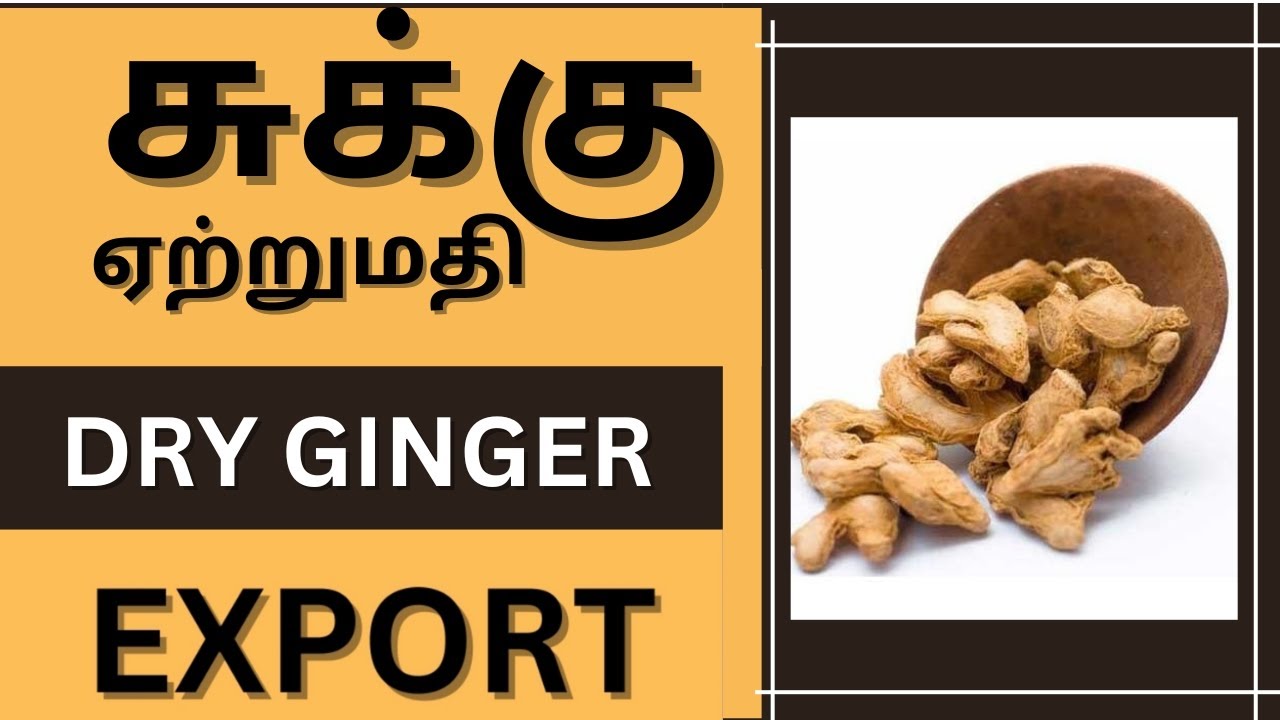 Spices Exports | Dry Ginger exports | சுக்கு ஏற்றுமதி | Business Ideas ...