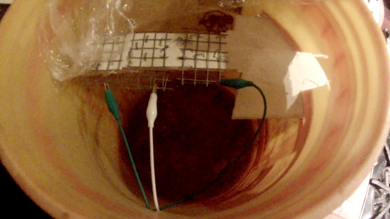 camera flash electric bucket mouse trap - YouTube