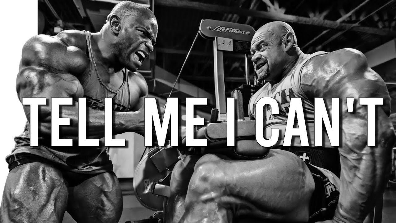 Branch Warren Wallpaper