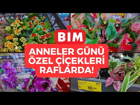 BİM'İN ANNELER GÜNÜ'NE ÖZEL ÇİÇEKLERİ RAFLARDA | BAKMAYA KIYAMADIM