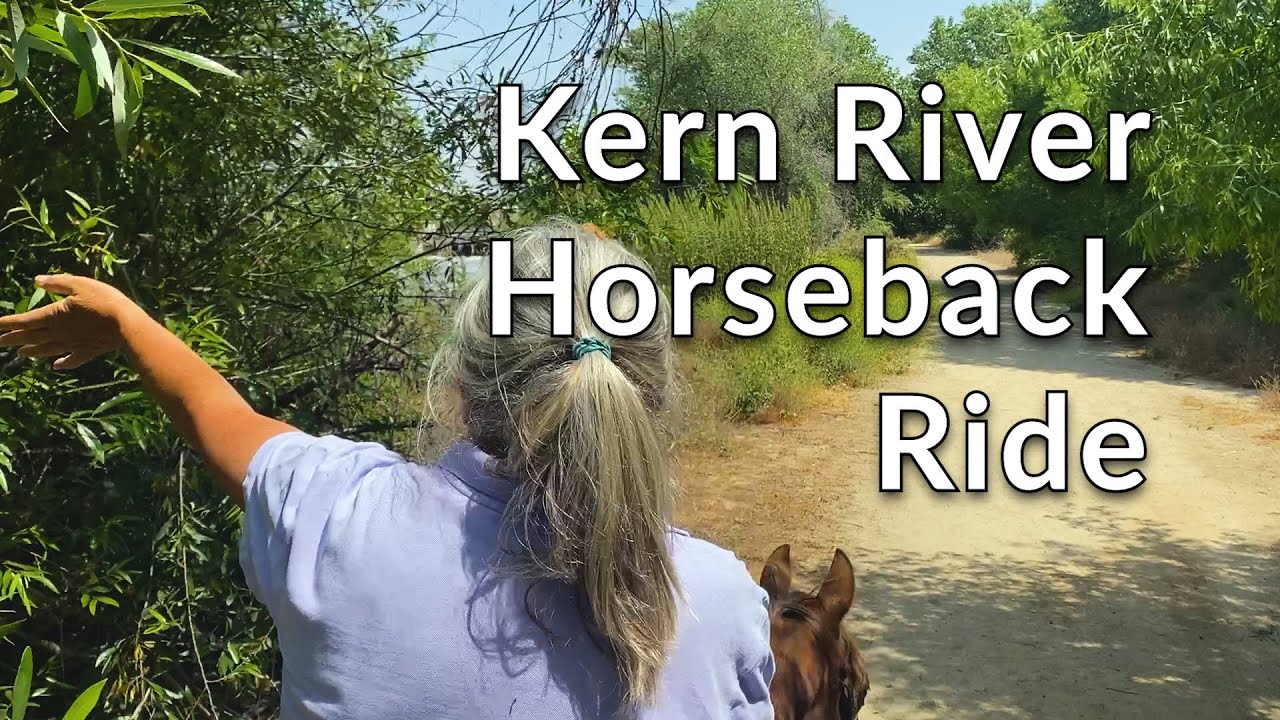 Horseback Riding Through Kern River - Wildlife Sights And Sounds - YouTube