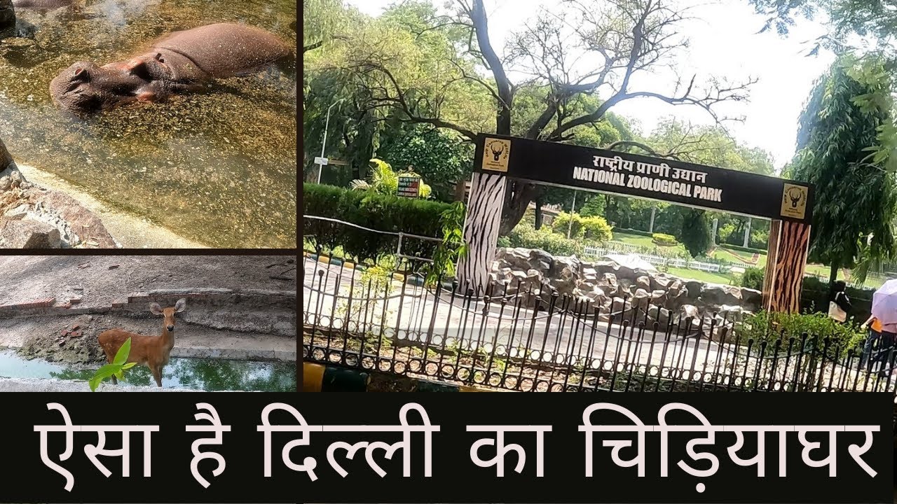 Delhi Chidiya Ghar Near Metro Station Delhi Chidiya Ghar Ticket delhi-chidiya-ghar-near-metro-station-delhi-chidiya-ghar-ticket