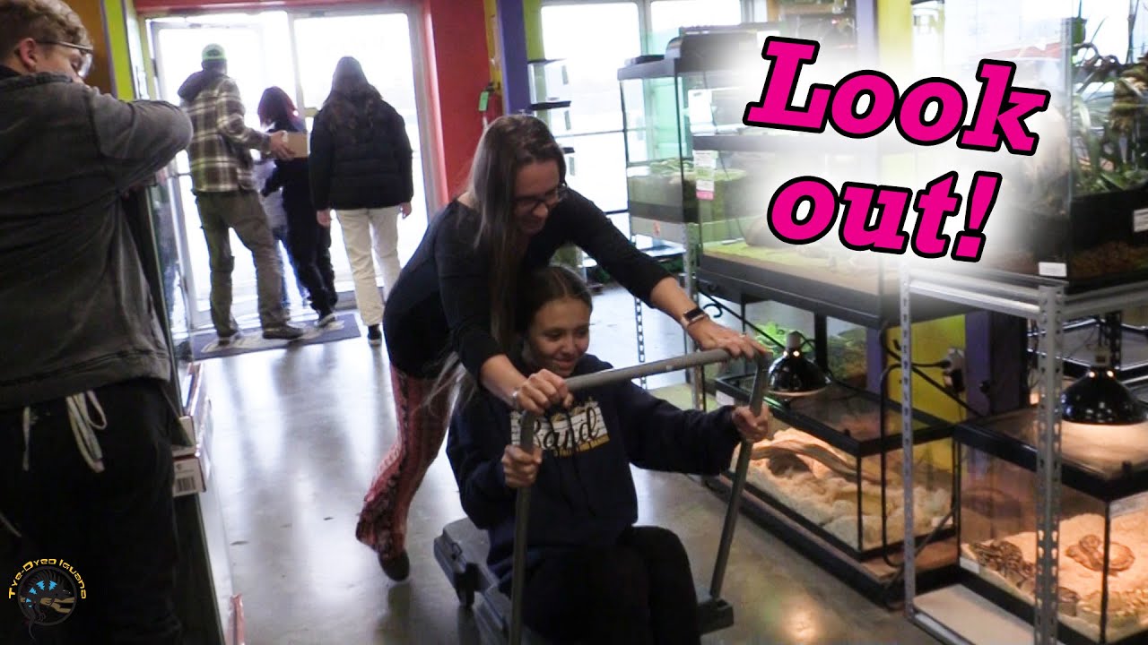 Let's Spy on TDI! - Christmas Crowds, Practicing Our Skateboarding ...