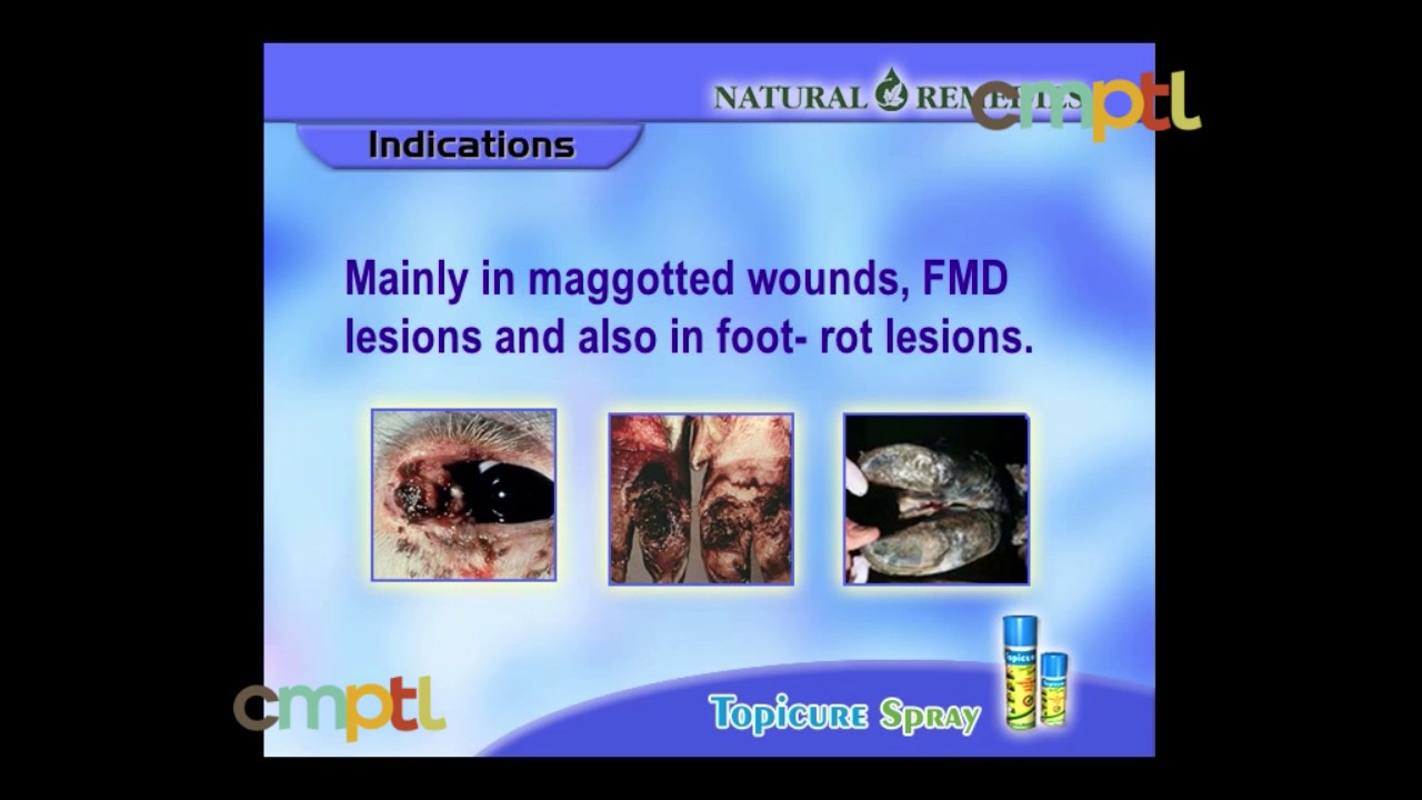 Best Product Features Video - Topicure Spray - Animal Pharma - Natural ...