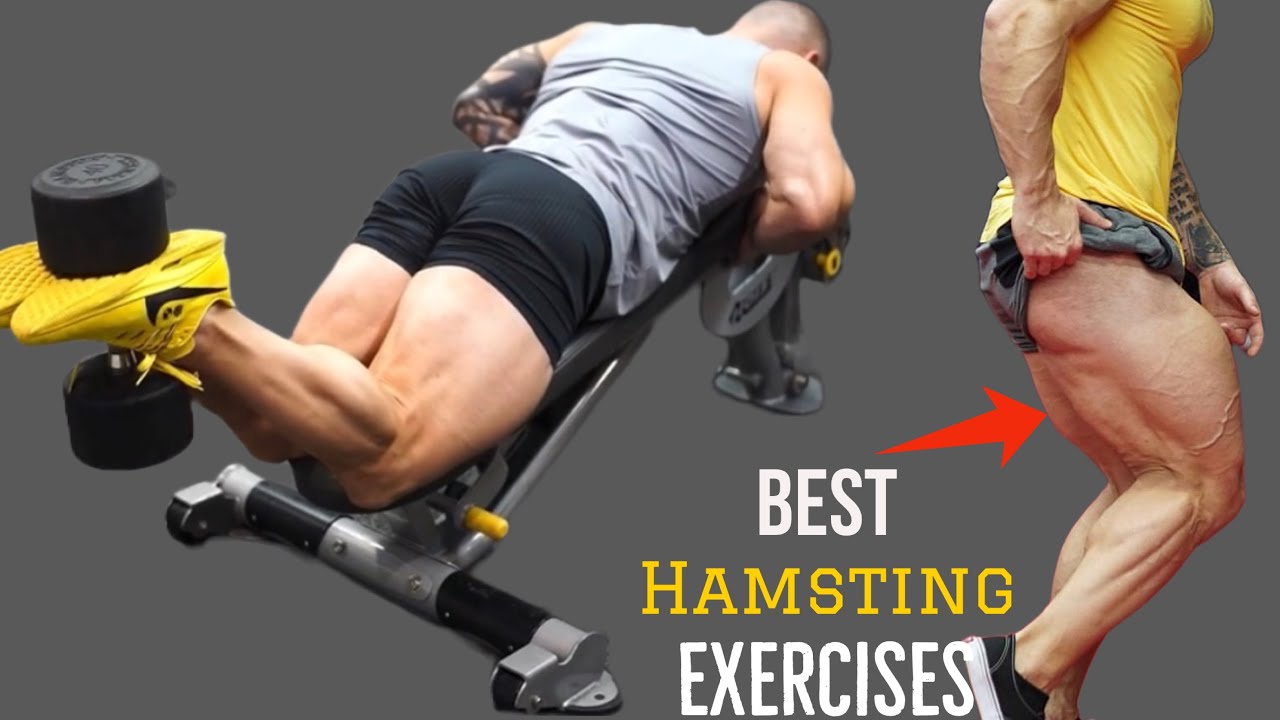 8 BEST HAMSTING EXERCISES FOR BEGINNERS BUILD YOUR HAMSTRING - YouTube