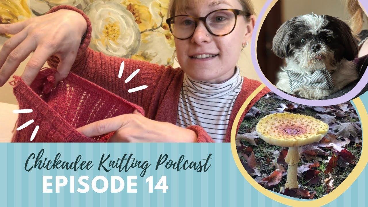 Chickadee Knitting Podcast // Episode fourteen // Craft weekend special ...