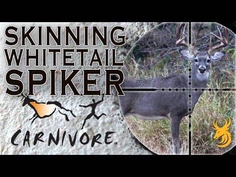 How to Skin a Whitetail Buck - YouTube