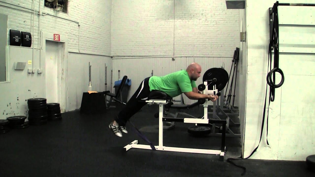 Reverse Hyper with Band - YouTube