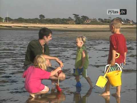 Teletubbies S01E105 DSR XviD LT BTG