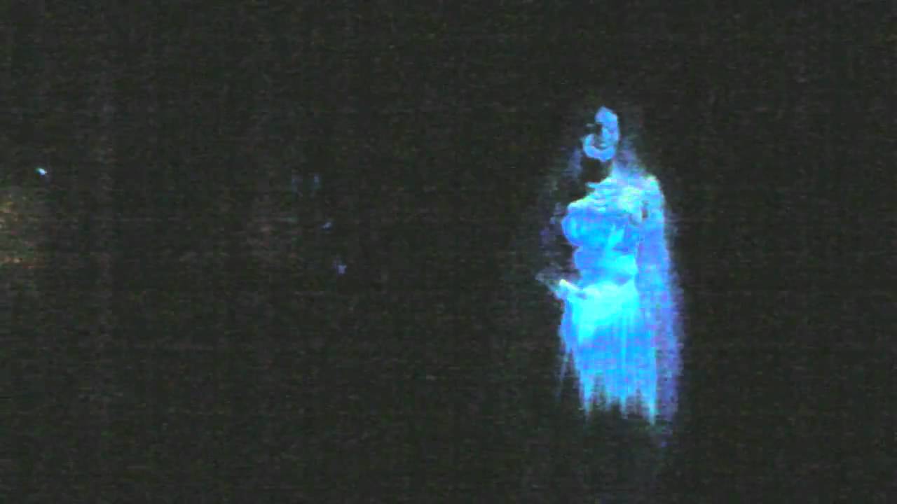 Walt Disney World Magic Kingdom Haunted Mansion Hatchet Bride Breakdown ...