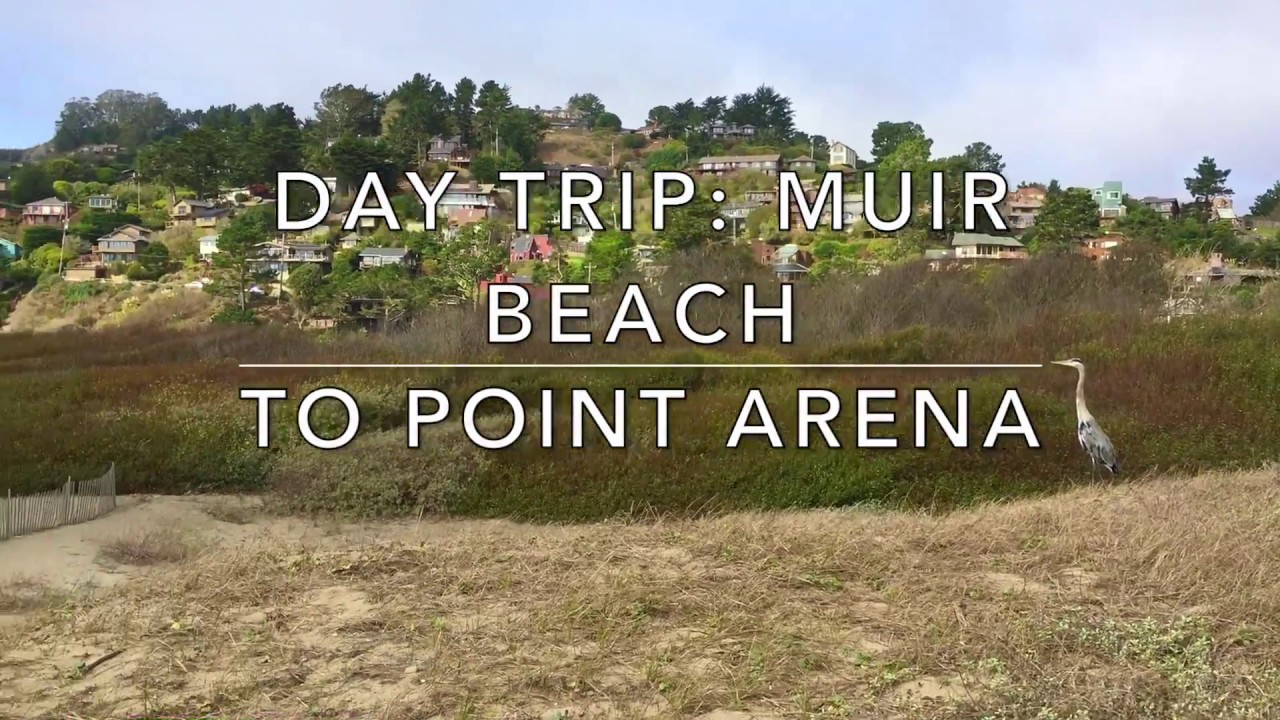 Day Trip: Muir Beach to Point Arena - YouTube