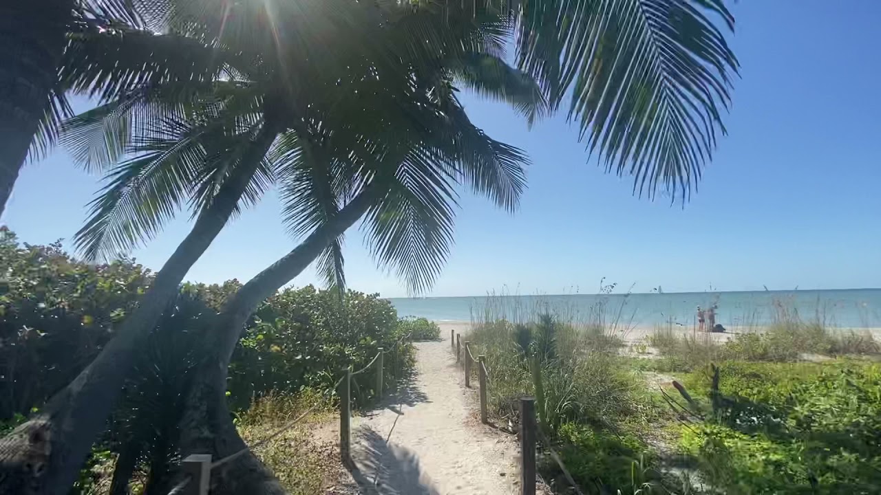 Today’s Beach Conditions on Sanibel Island #sanibel #florida #beach # ...