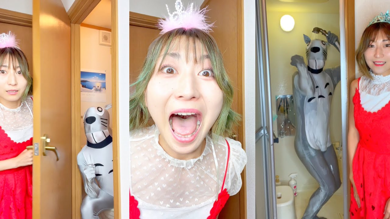 あなたには見える？【心がキレイな人にしか見えない動物】LOL Dojo Funny Videos compilation＋BTS - YouTube