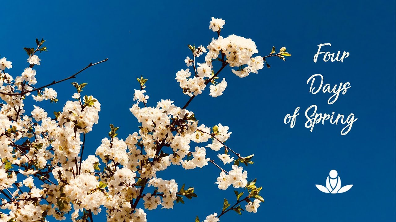 फागुन के दिन चार | Four Days of Spring - YouTube