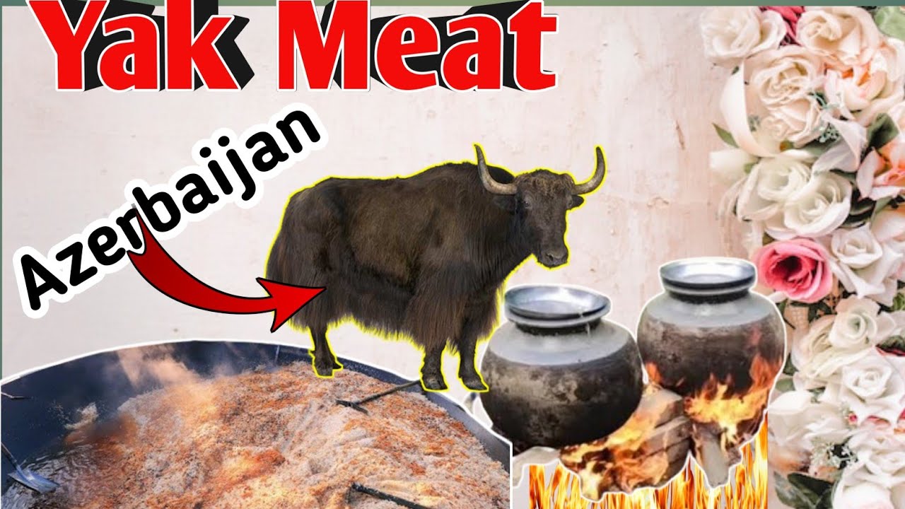 Yak Meat Recipe || Wild Animal Yaak Cooking|| Wedding Dish Of ...