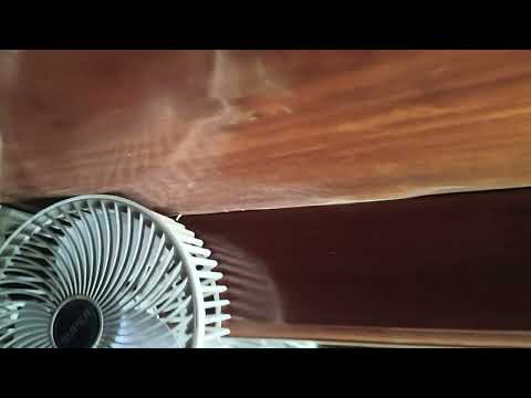 Alelele alelelas ep3