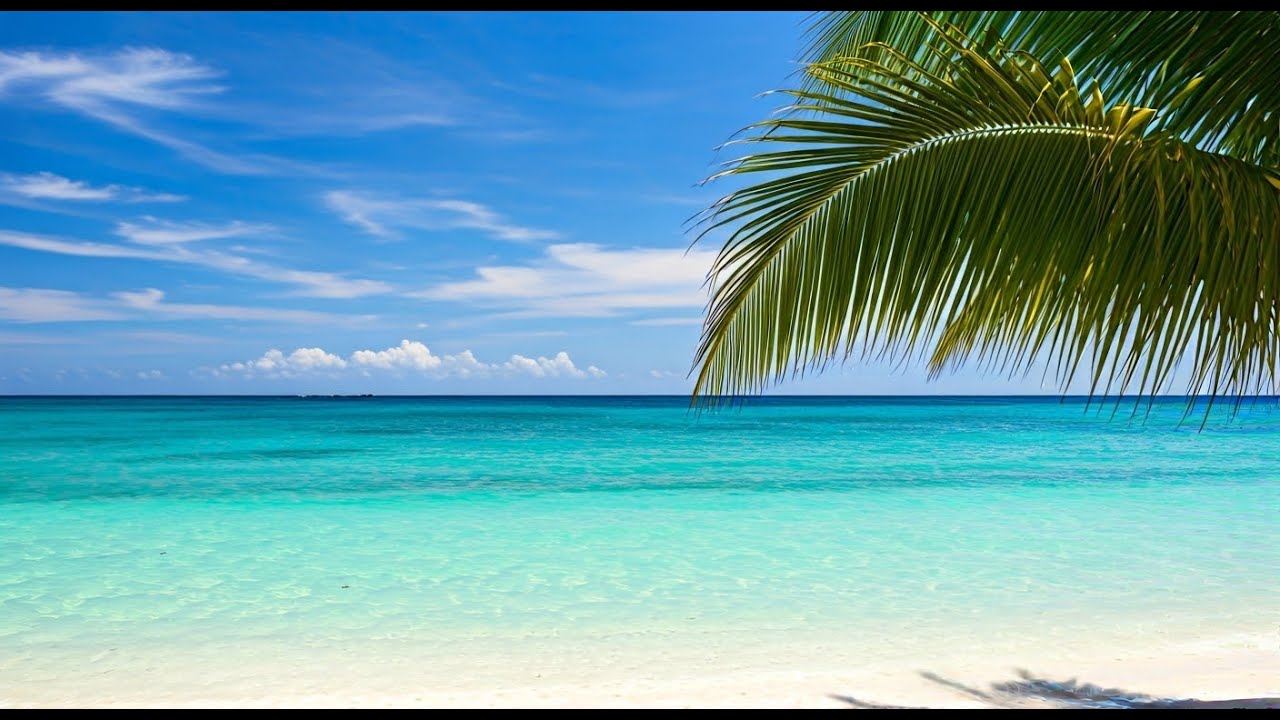 Back in Miami and So Blessed with What I Saw and Experienced! Explore ...