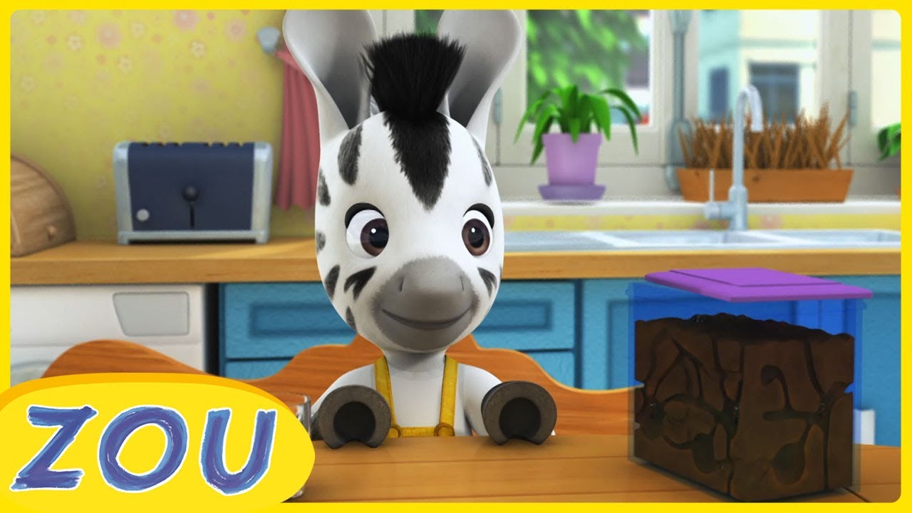 ZOU cría hormigas | 1 hora de ZOU en español 🦓 | Dibujos animados para ...