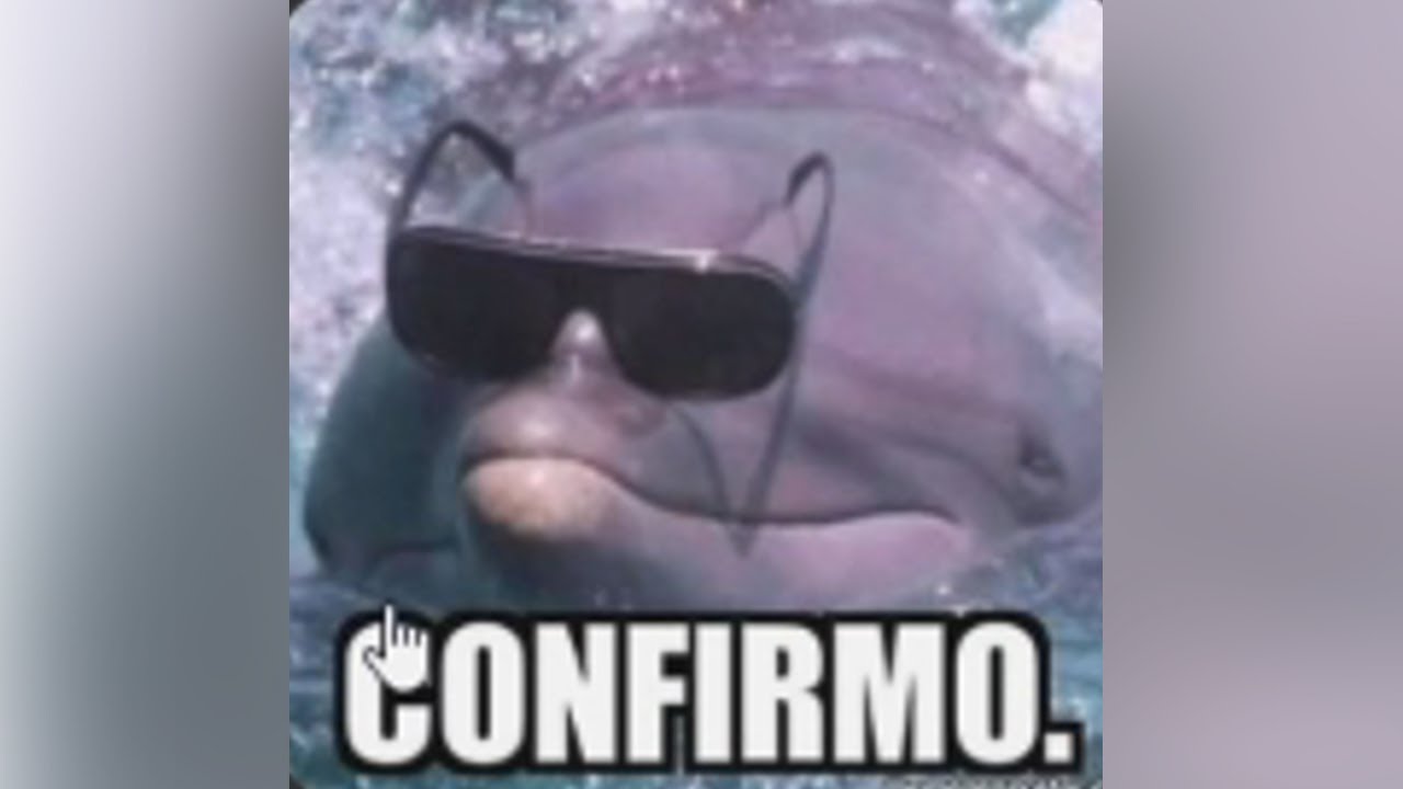 Memes Muy Xd 58 Youtube