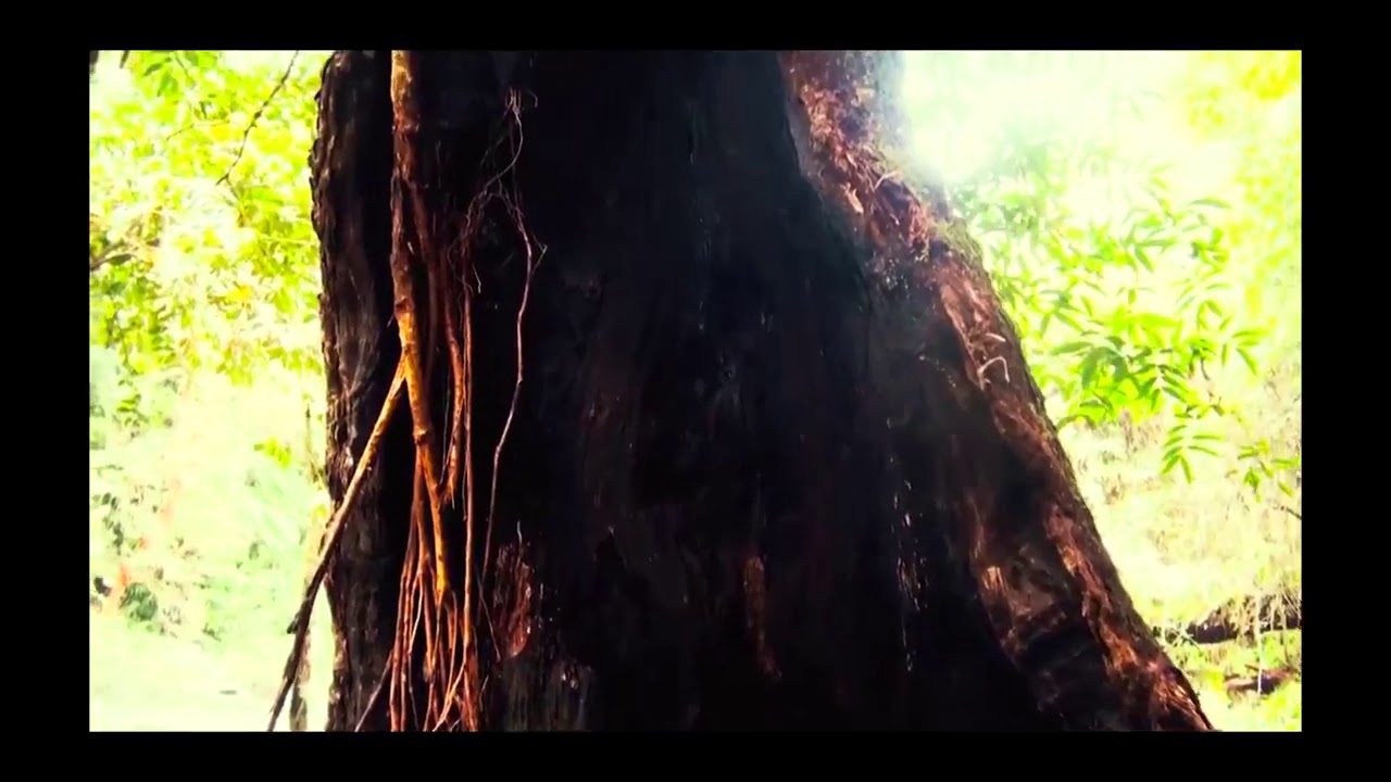 The Hidden Paradise Of Manajur Waterfall, Bengkayang Regency, West ...