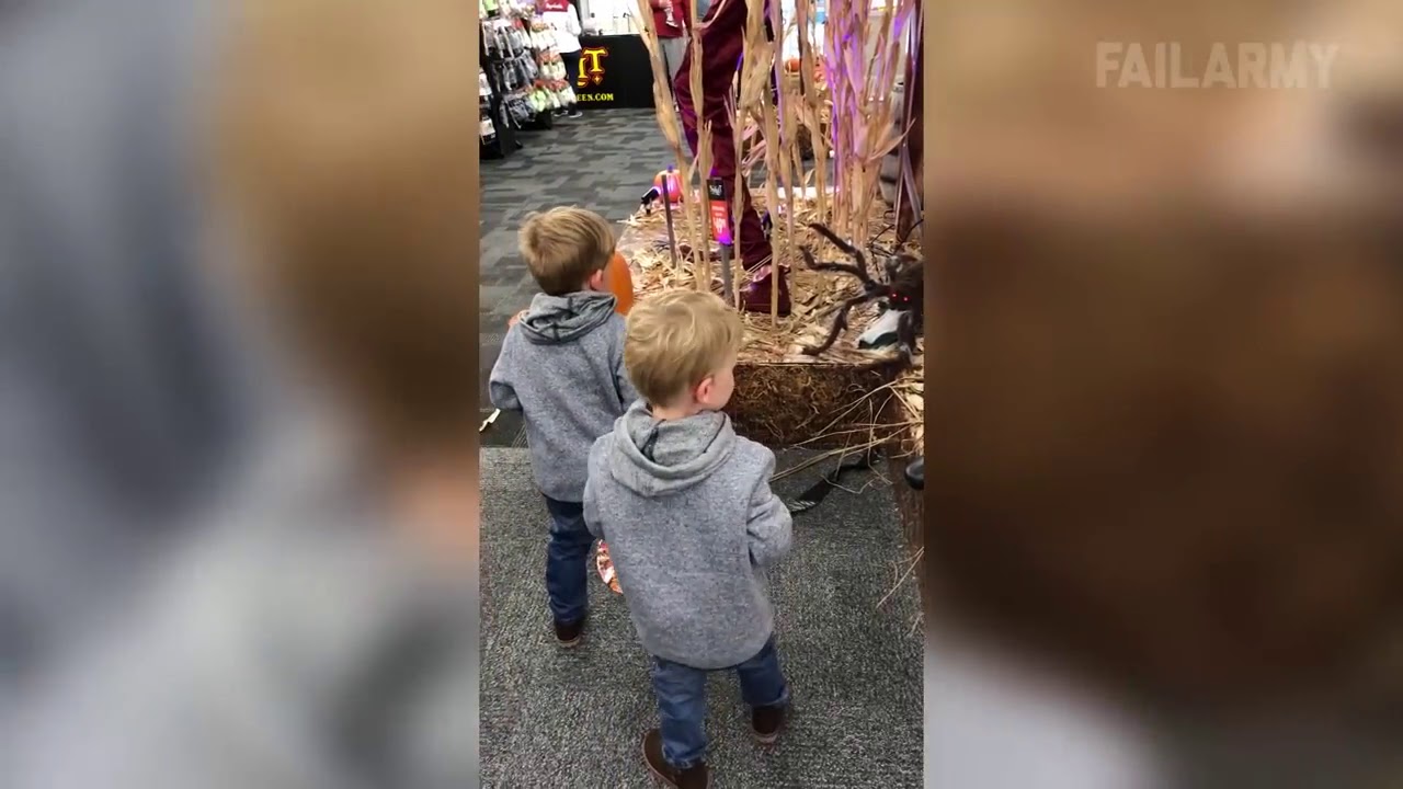 Bee Keeper Business Fails of the Week November 2018 FailArmy - YouTube