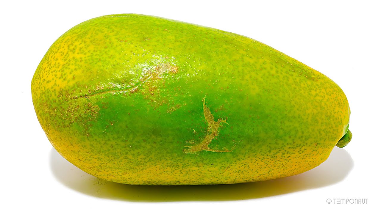 Rotting Papaya - YouTube