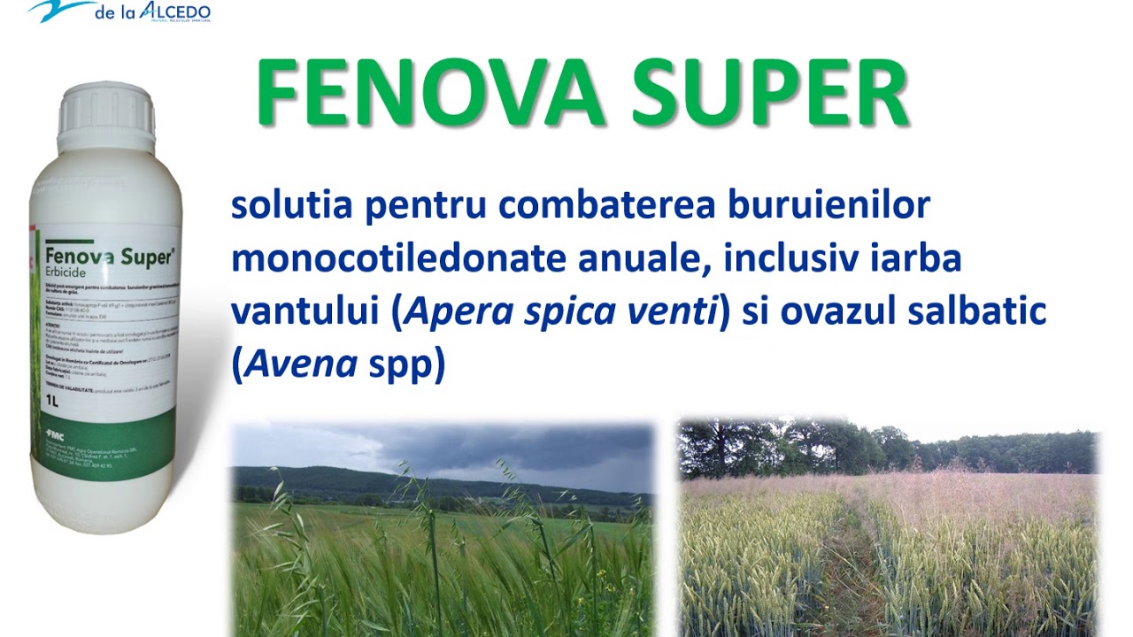 FENOVA SUPER 2019 - YouTube