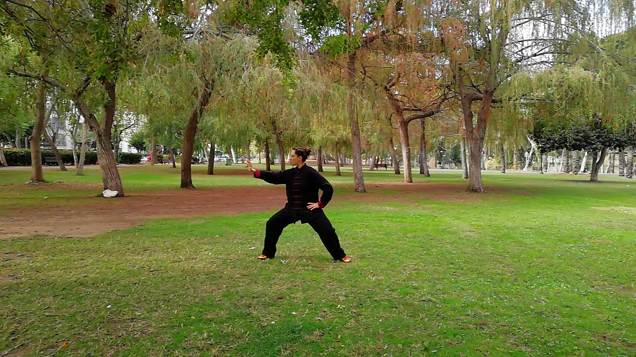 Lao Jia Yi Lu (part 1) - Talia Kav - tutorial demonstration - YouTube