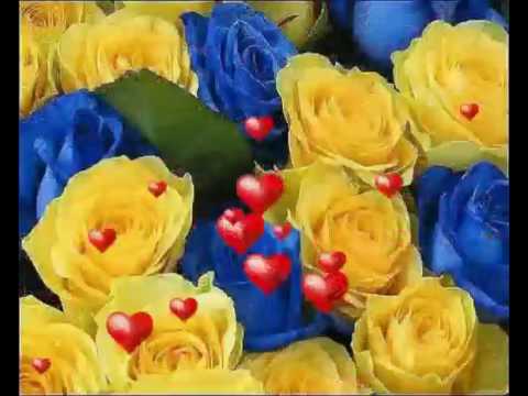 Ən gözəl güllər